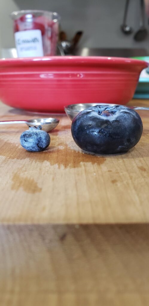 The biggest Blueberry I've ever seen. [Produce] - foodiedude